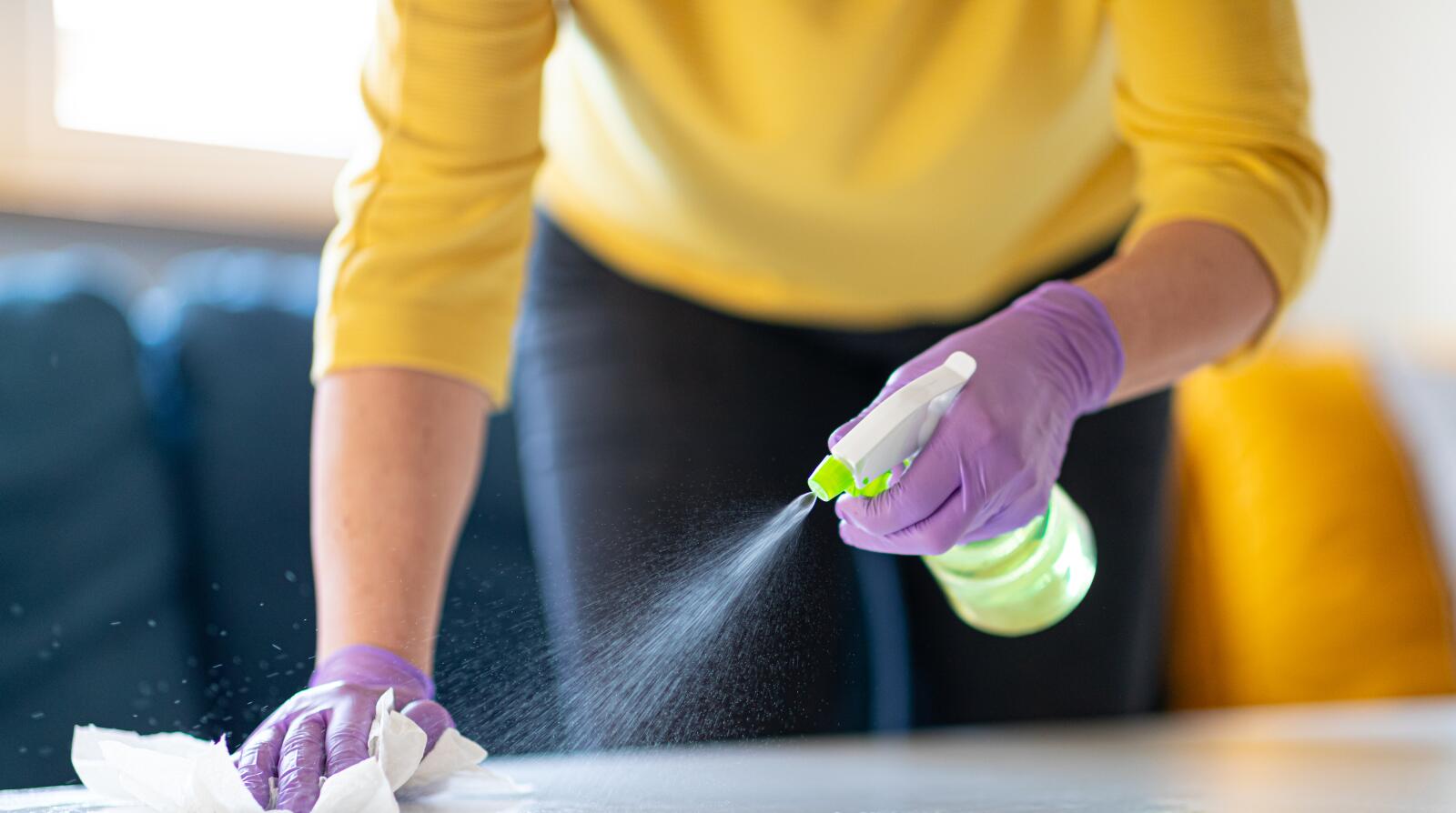 Clean Kitchen | Kitchen Germs