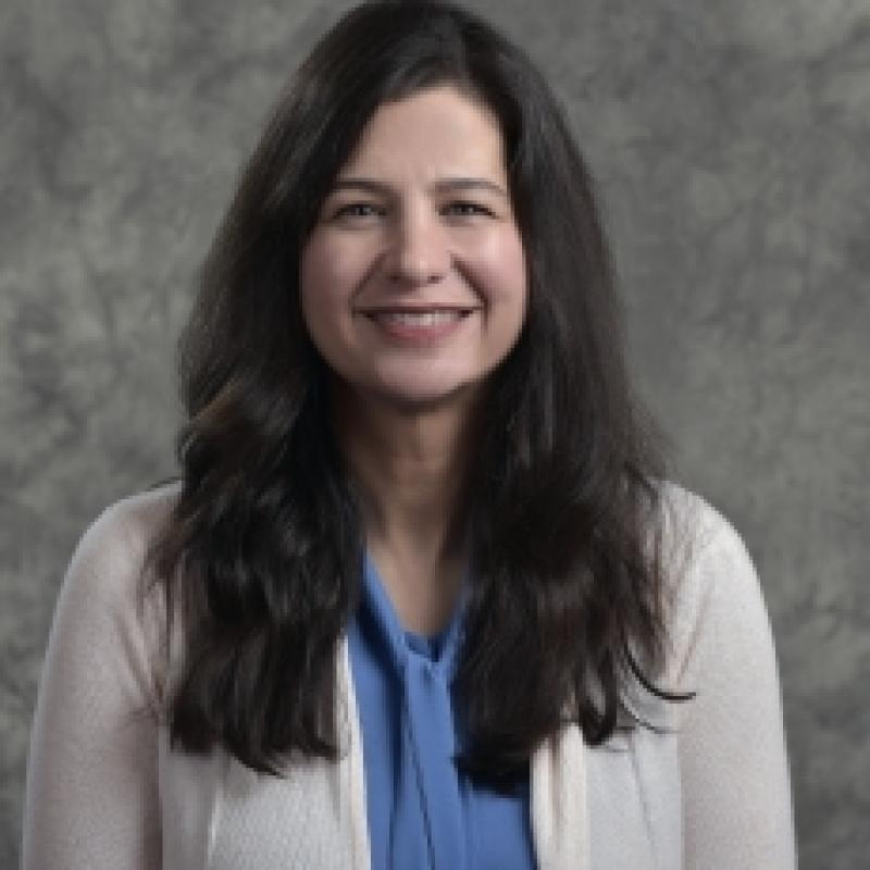 Dr. Noura Dabbouseh, MD: Cardiologist - Hinsdale, IL - Medical News Today