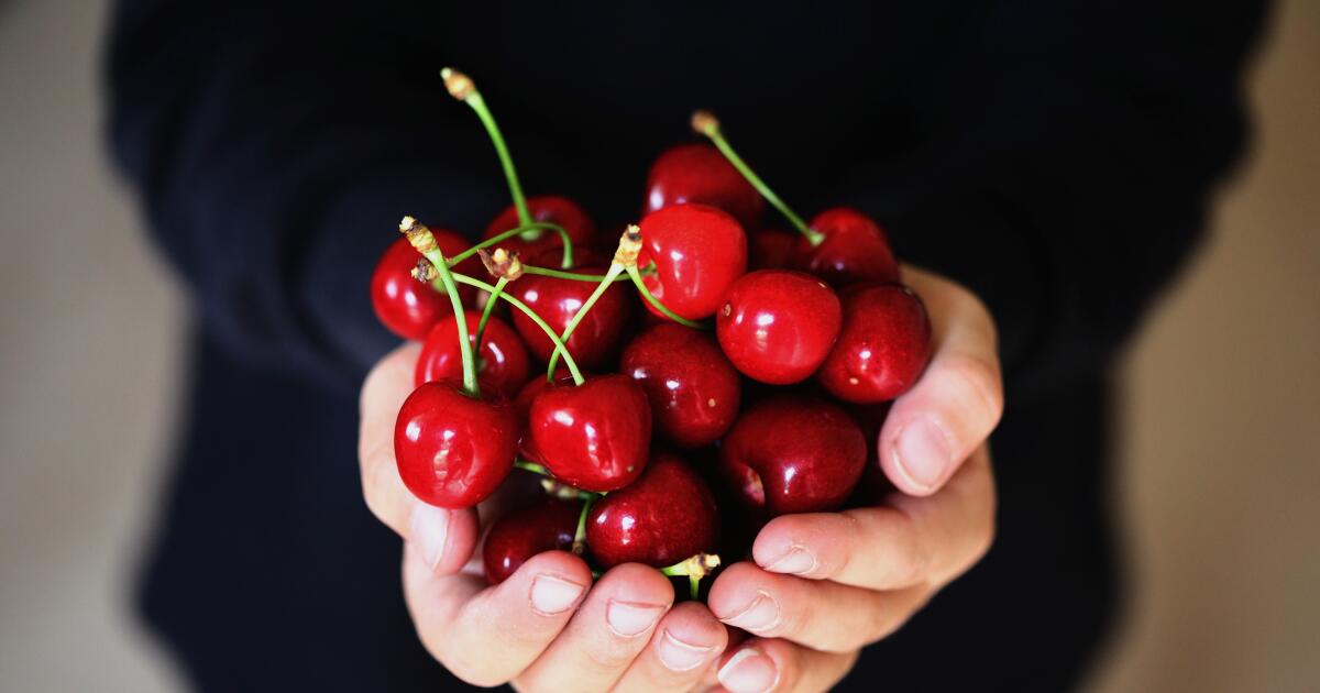 What Is the Best Type of Cherry Juice for Gout?