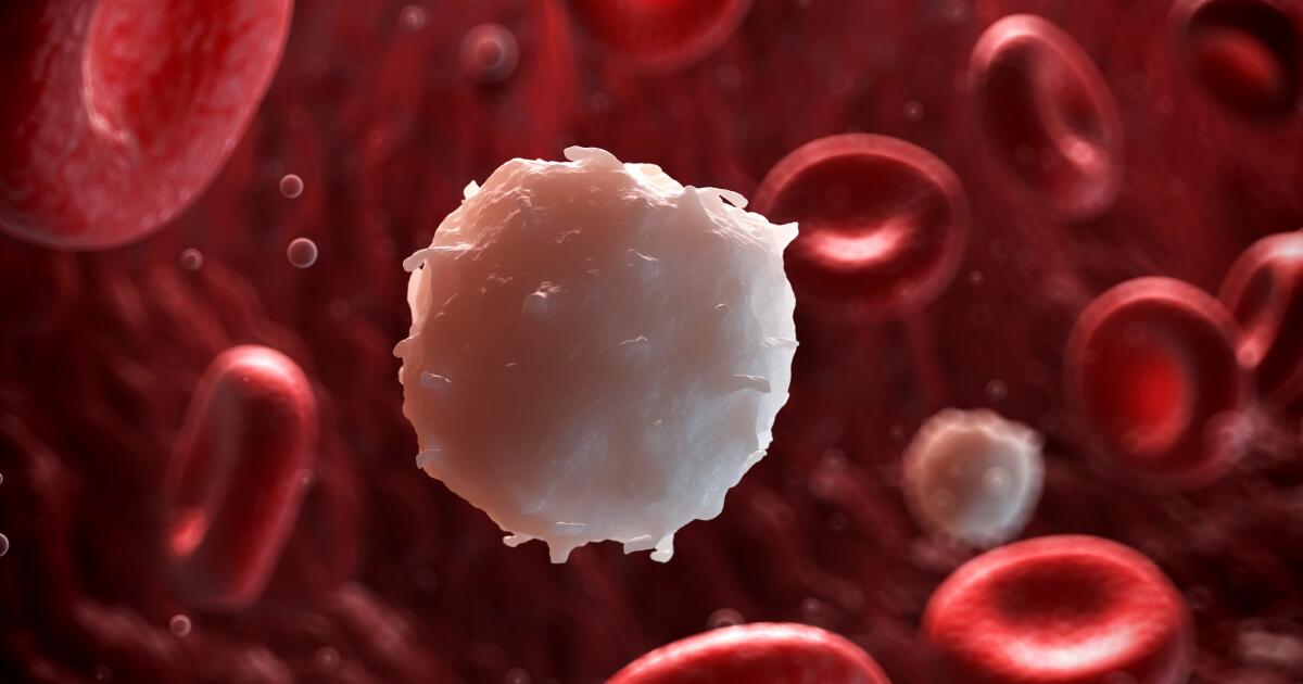 blood cells function