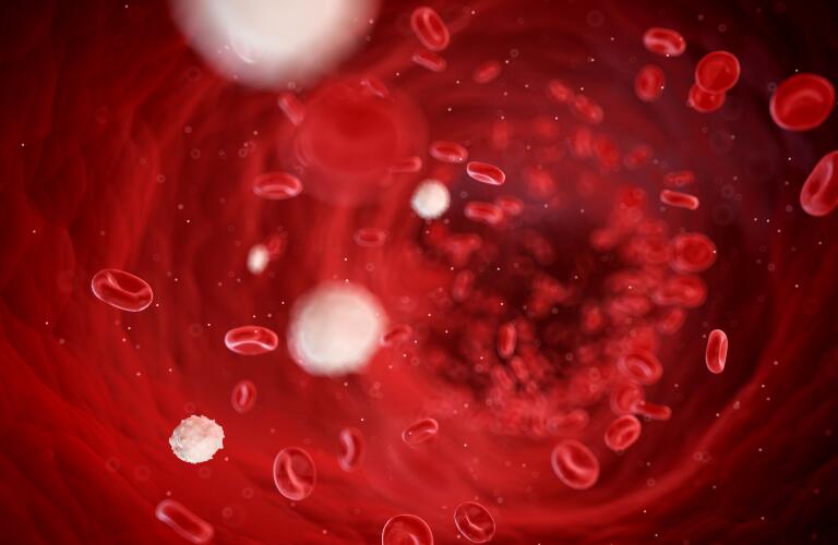 Red Blood Cell Count: Interpreting Your Test Results