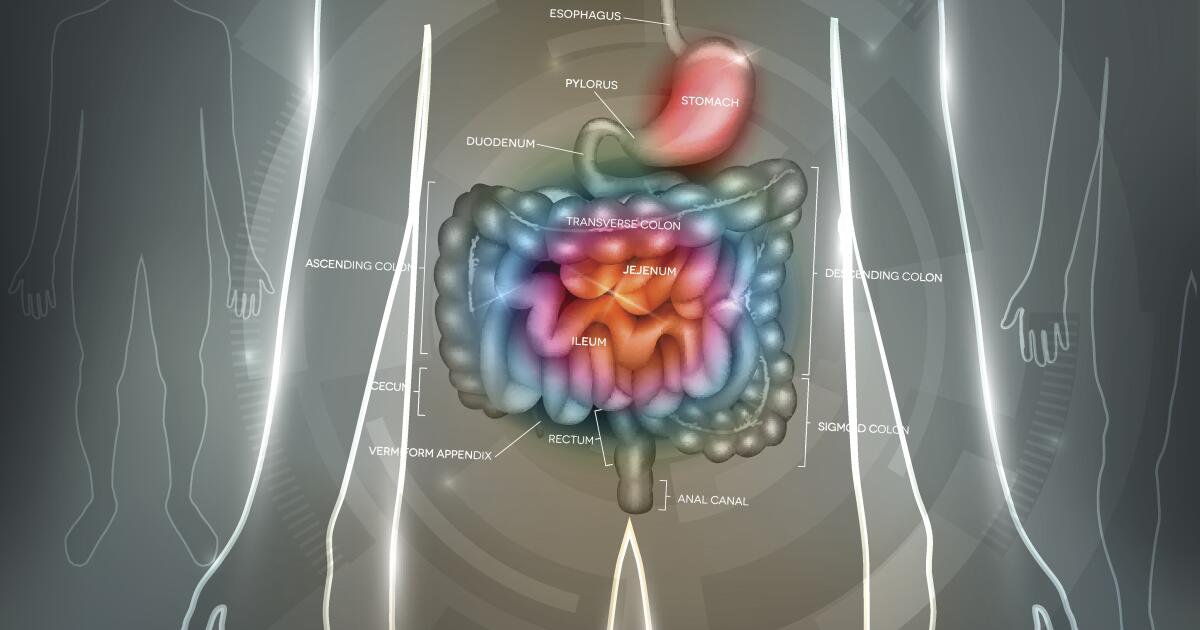 Inflammatory Bowel Disease - Symptoms, Causes, Treatments