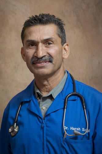 Dr. Harsh Saigal, MD – Pediatrician for Administrative Physical in ...