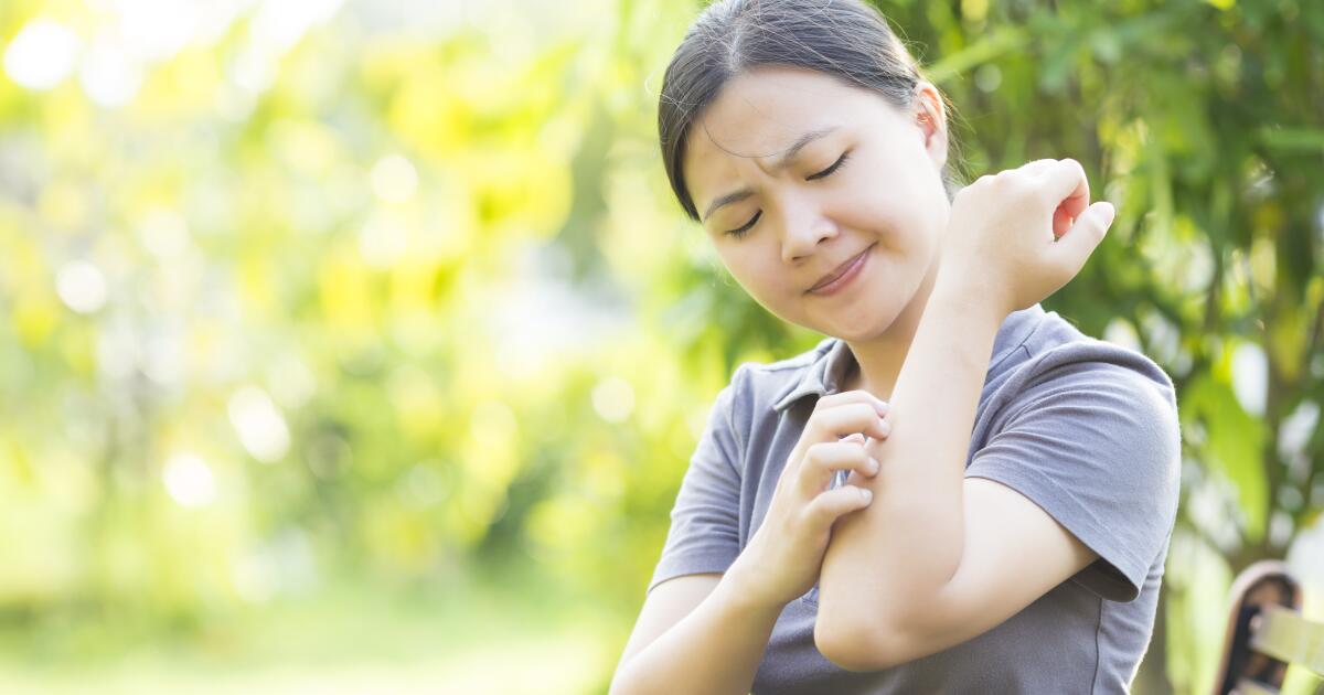 Itchiest Skin Conditions | What Skin Conditions Cause Itching?