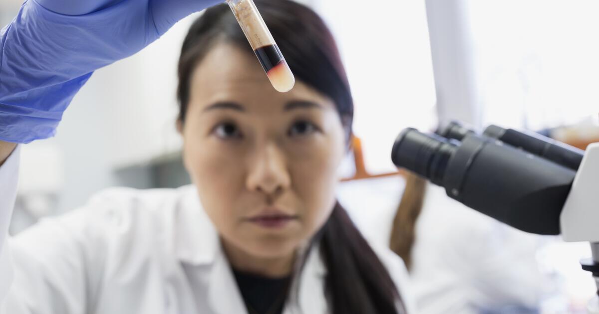 What is a Hematologist? | Blood Doctor | Blood Disease Specialist
