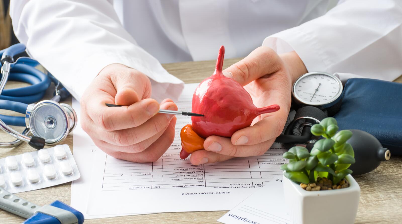 7 Surprising Urinary Tract Facts | Female & Male Urinary Tract