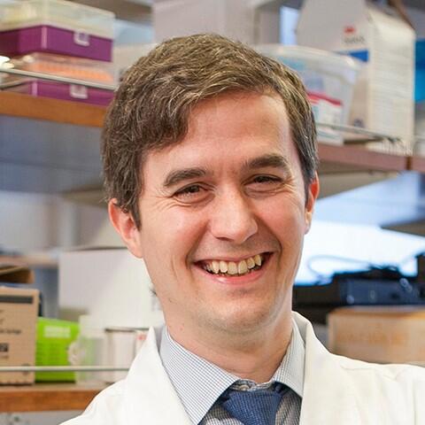 Dr. Conor Liston, PHD: Psychiatrist - New York, NY - Medical News Today