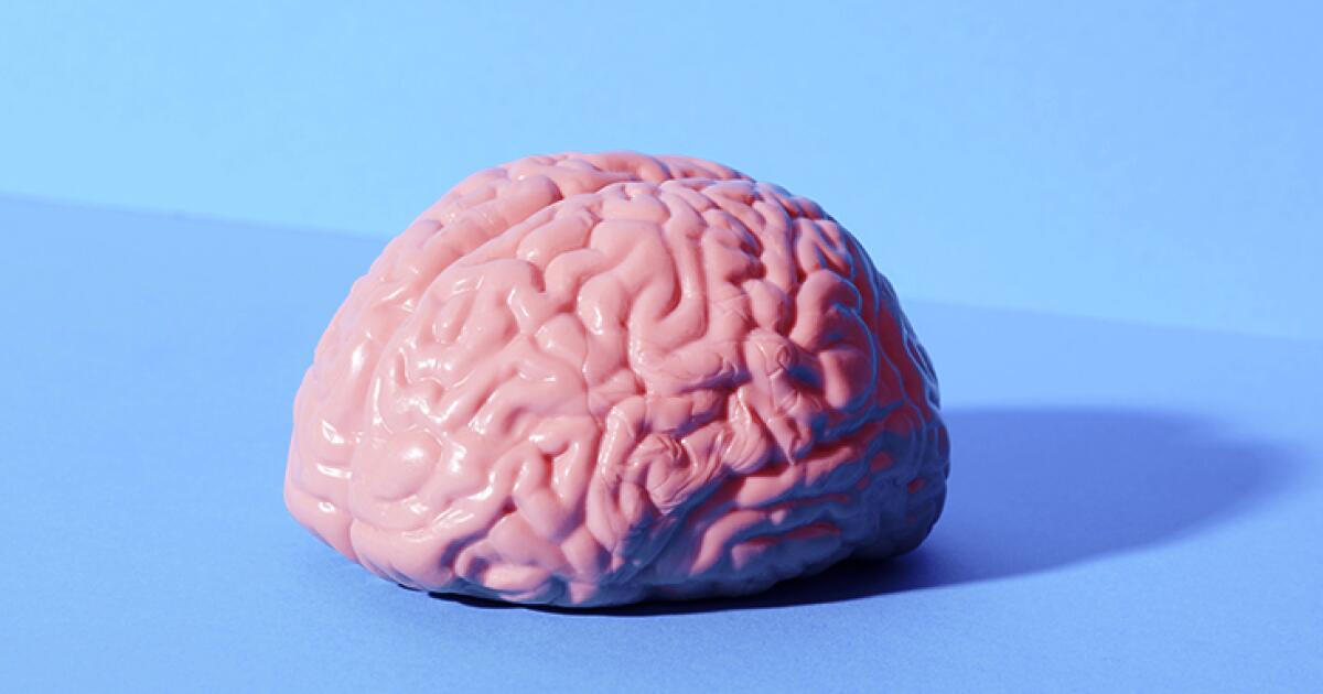cerebrum function example