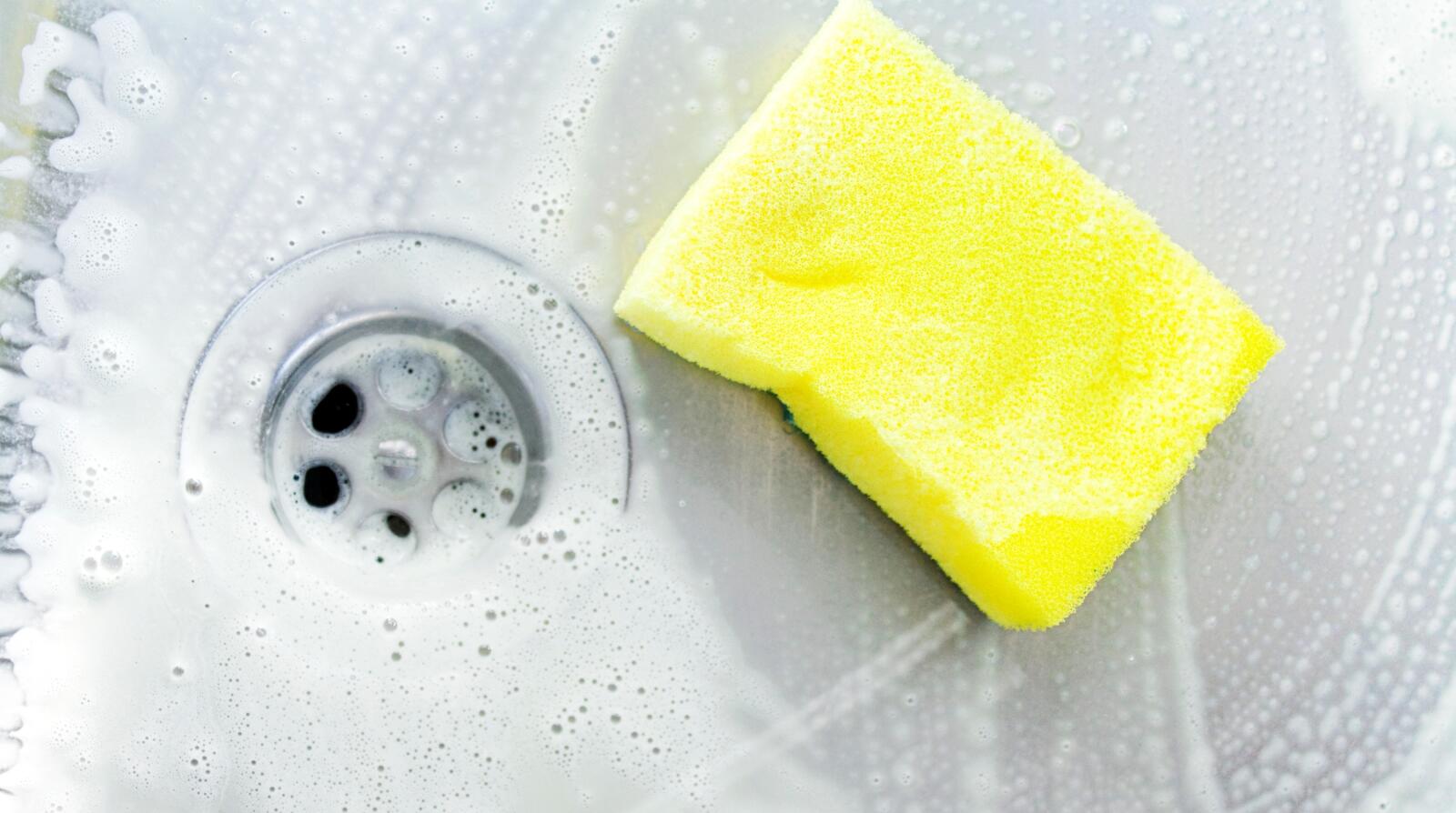 Clean Kitchen | Kitchen Germs