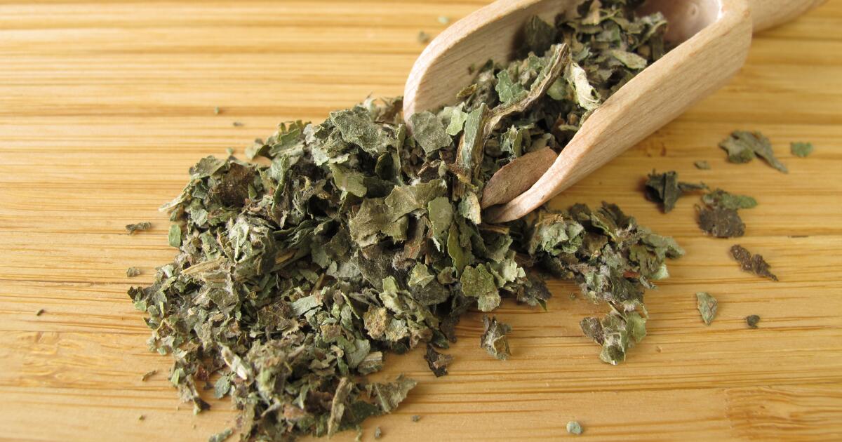 When Should You Take Butterbur? | Butterbur Benefits & Risks