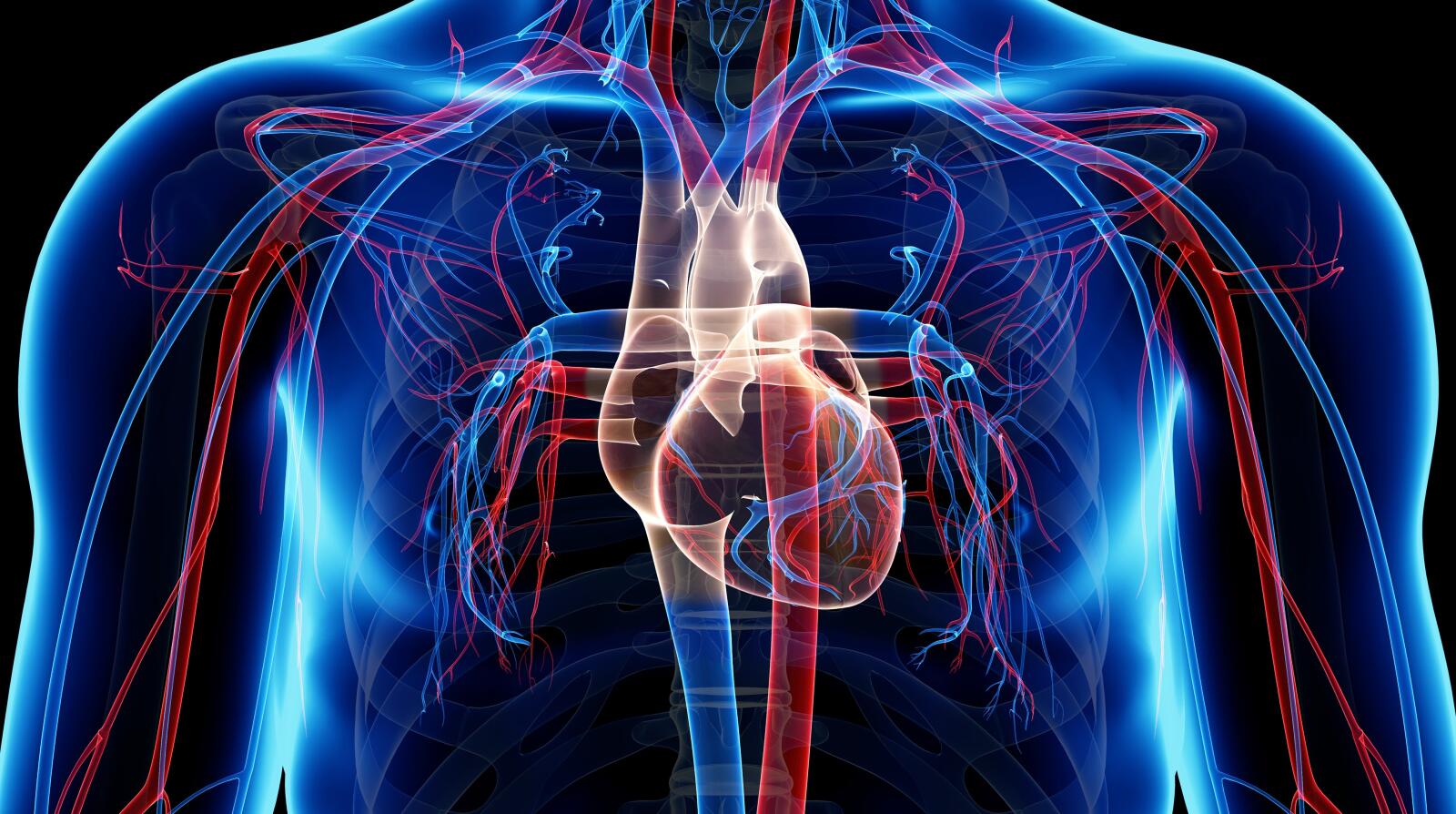 5 Conditions Diagnosed With Cardiac Catheterization