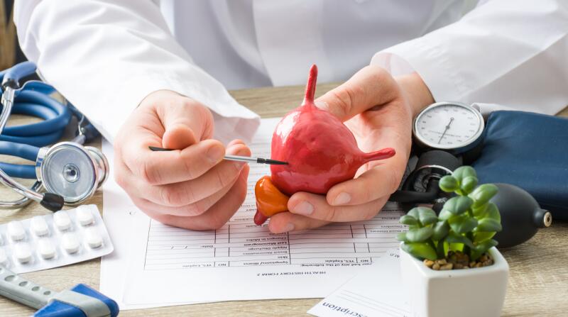 7 Surprising Urinary Tract Facts | Female & Male Urinary Tract