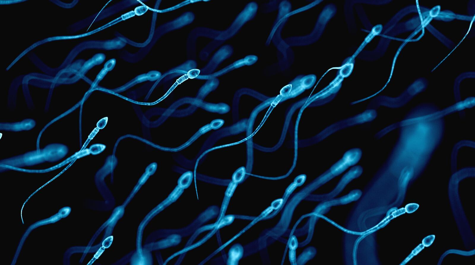 Recovery After Vasectomy: What to Expect