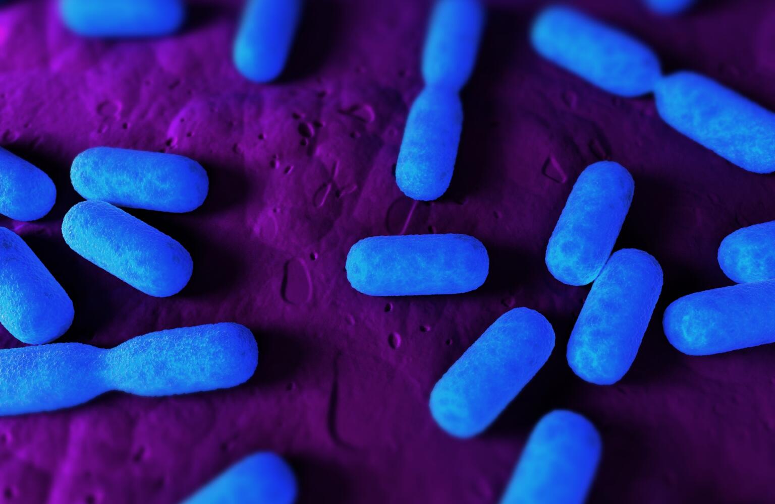 Types of Meningitis: Viral, Bacterial & Fungal Meningitis | Spinal ...