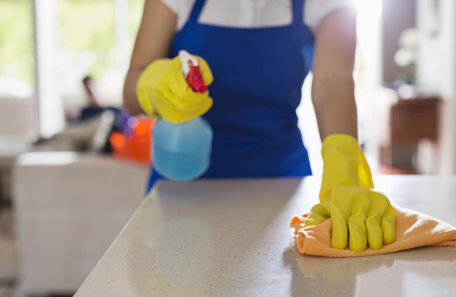 How to Sanitize Home | How to Disinfect House