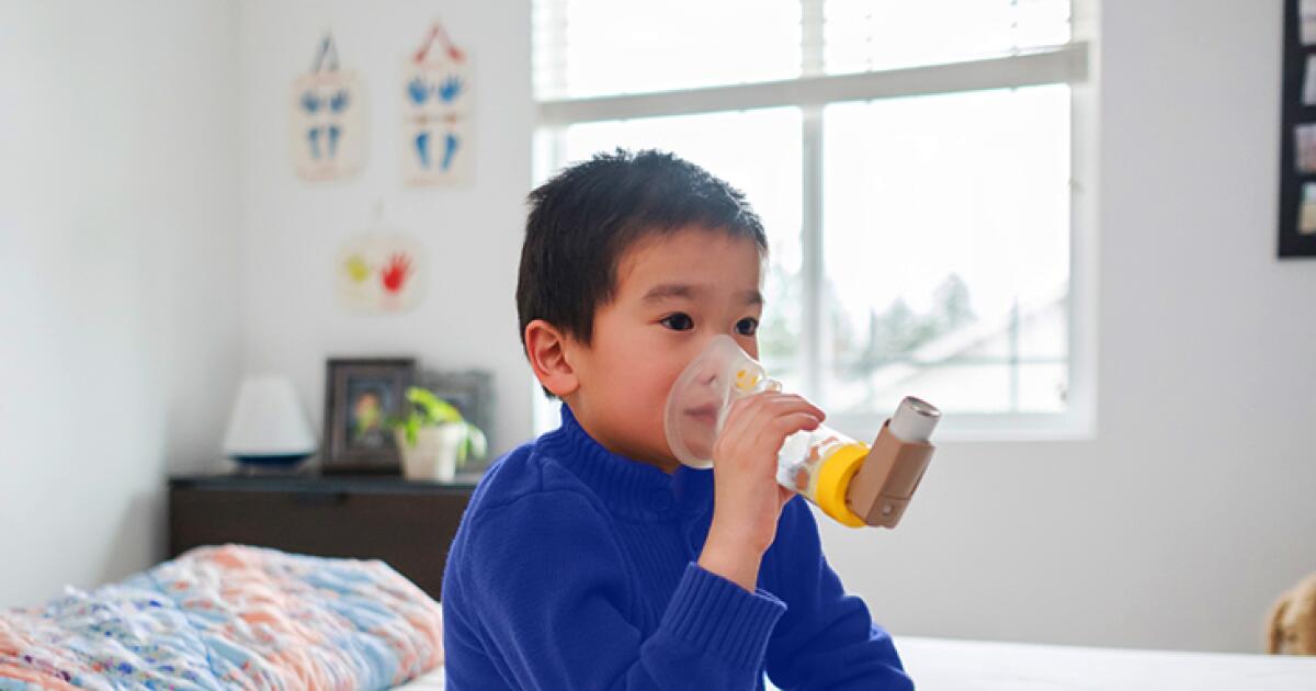 Bronchitis Types, Symptoms, Causes, and Treatments Bronchitis Types, Symptoms, Causes, and Treatments