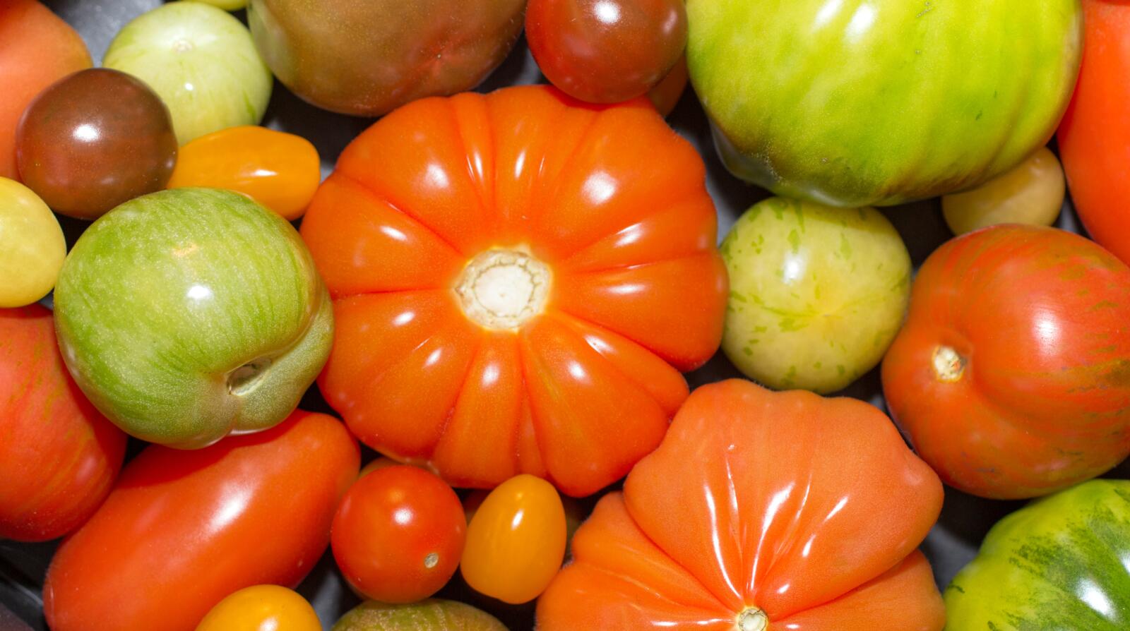 10 Surprising Facts About Prostate Cancer