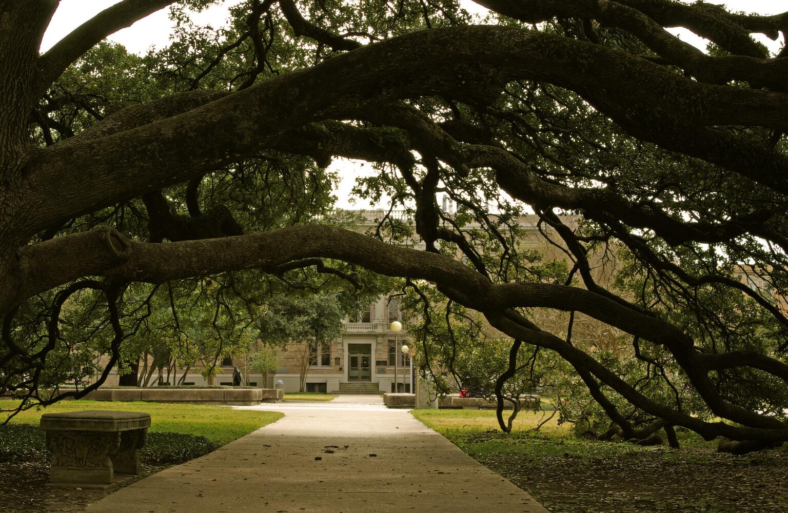 The 20 Best U.S. Medical Schools for Primary Care in 2024