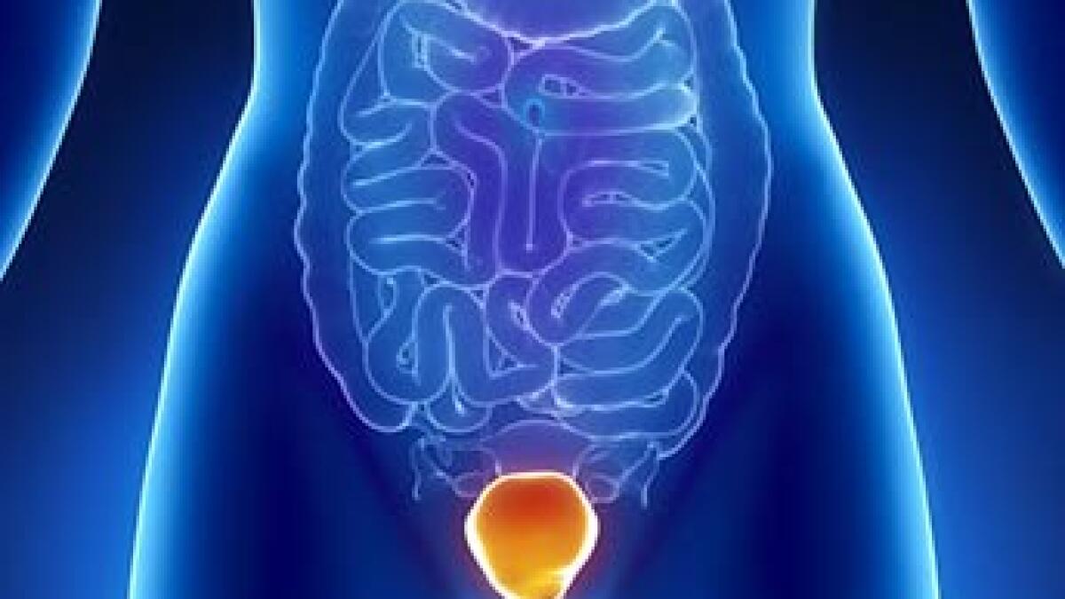 urinary system diseases