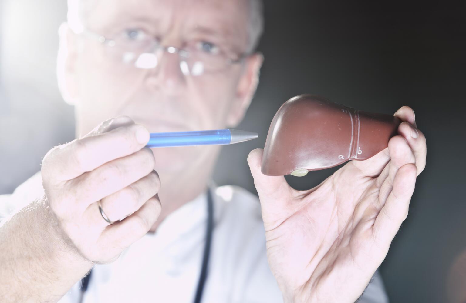 Liver Facts | What Your Liver Does | Liver