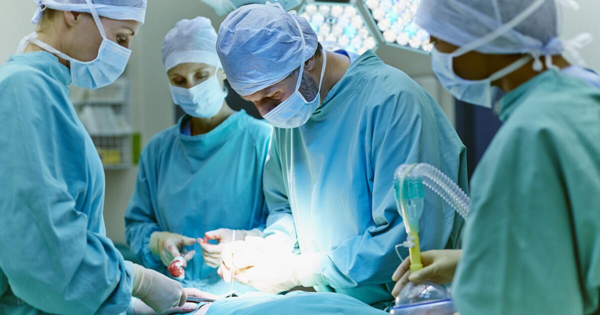 Intracranial Arteriovenous Malformation (AVM) Repair - AVM Repair