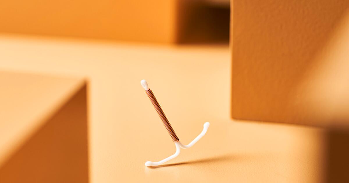 Types of IUDs Explained