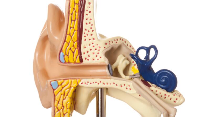 inner ear bone problems