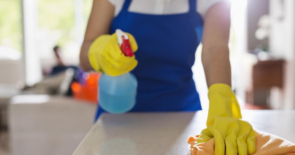 How to Sanitize Home | How to Disinfect House