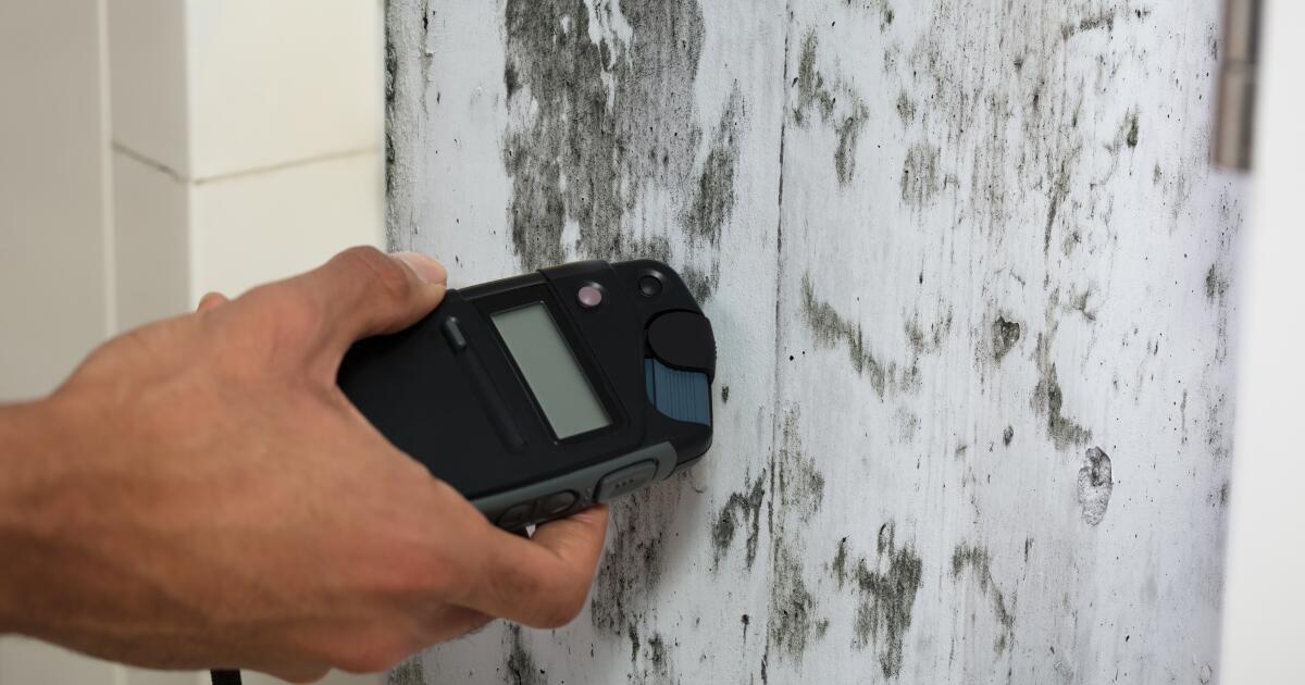 Mold Respiratory Symptoms | How Mold Exposure Affects Asthma