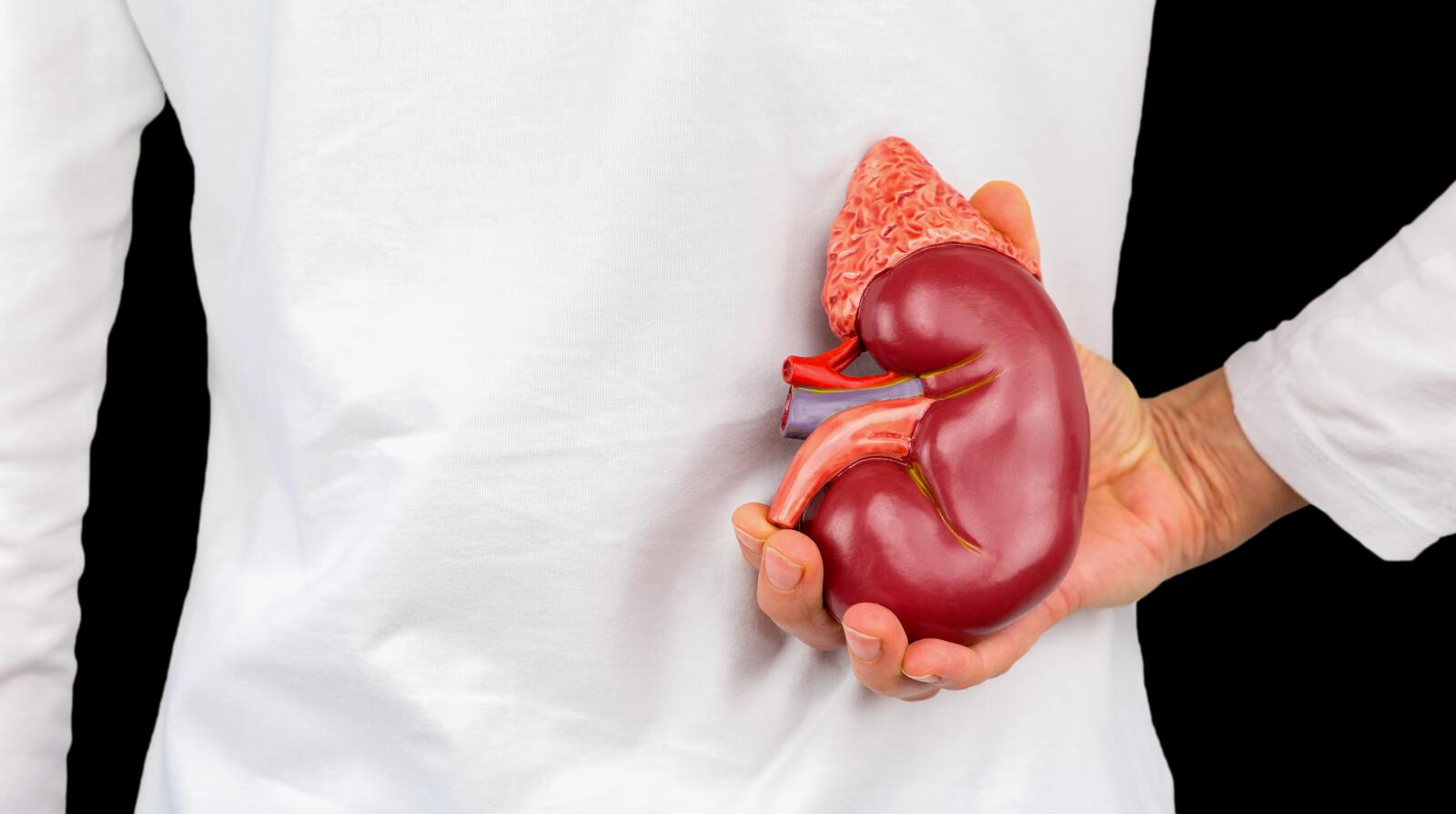 10 Tips for Kidney Removal Surgery Preparation | Nephrectomy Prep