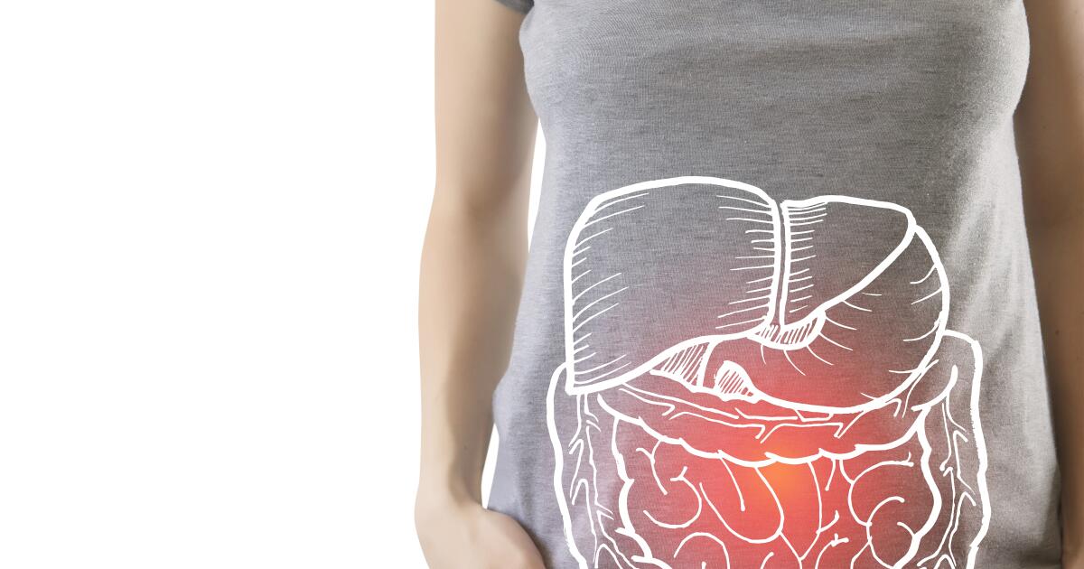 What Does the Large Intestine Do? | Large Intestine Function