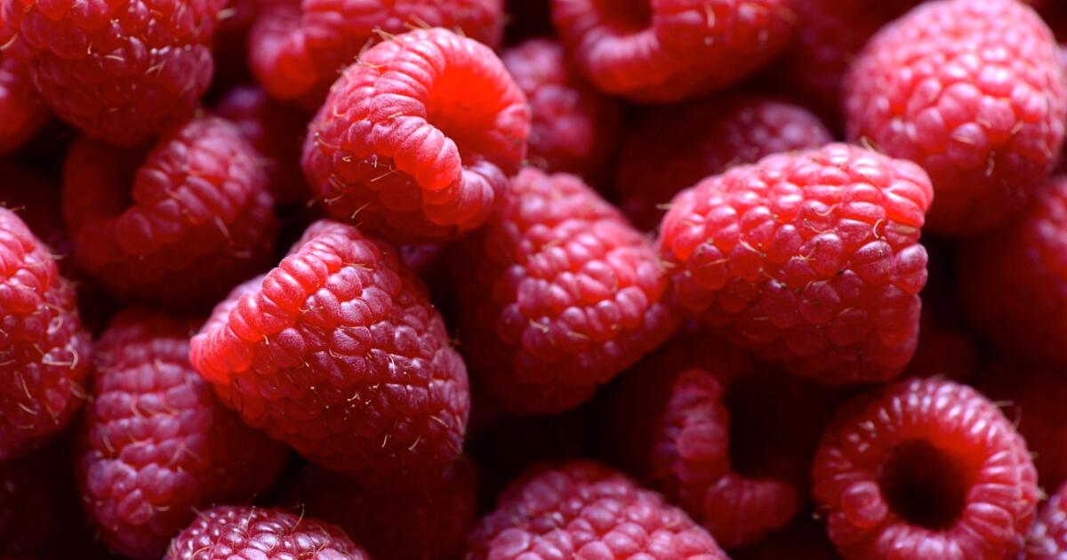 The Best and Worst Foods for IBS With Constipation