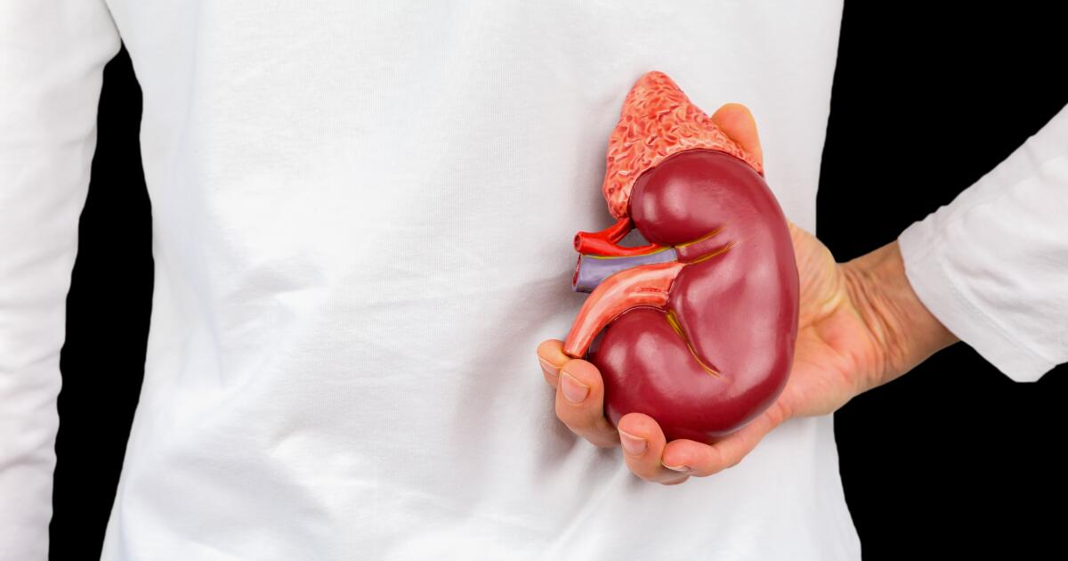 Kidney Infection: Symptoms, Treatment & Causes | Pyelonephritis